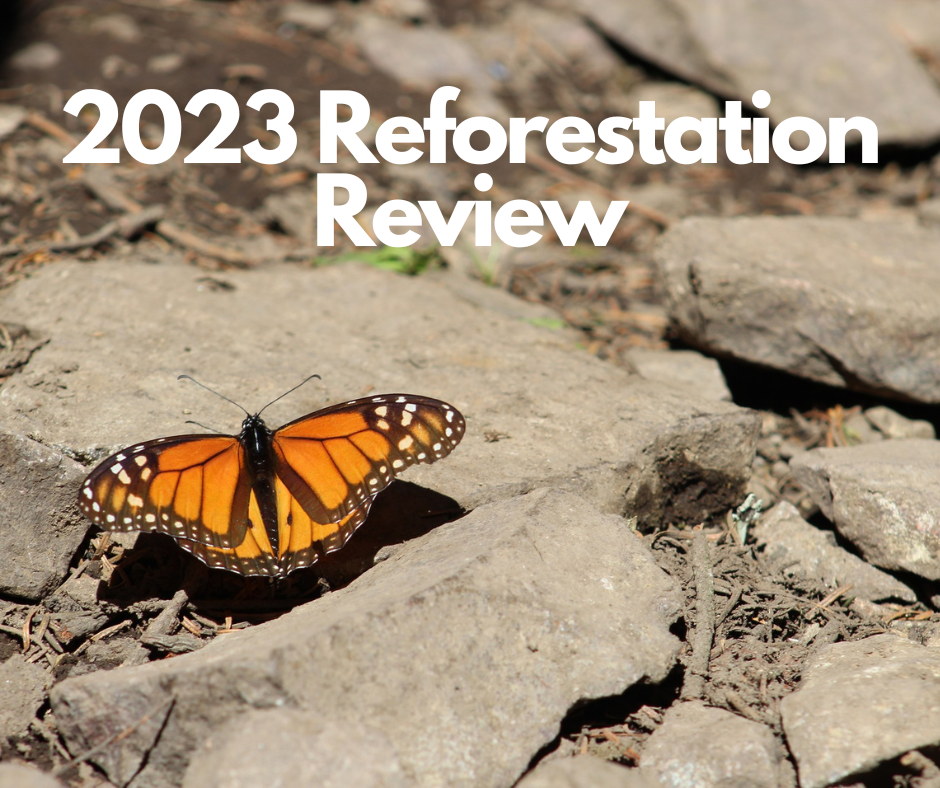 Reforestation Report 2023 - Forests For Monarchs