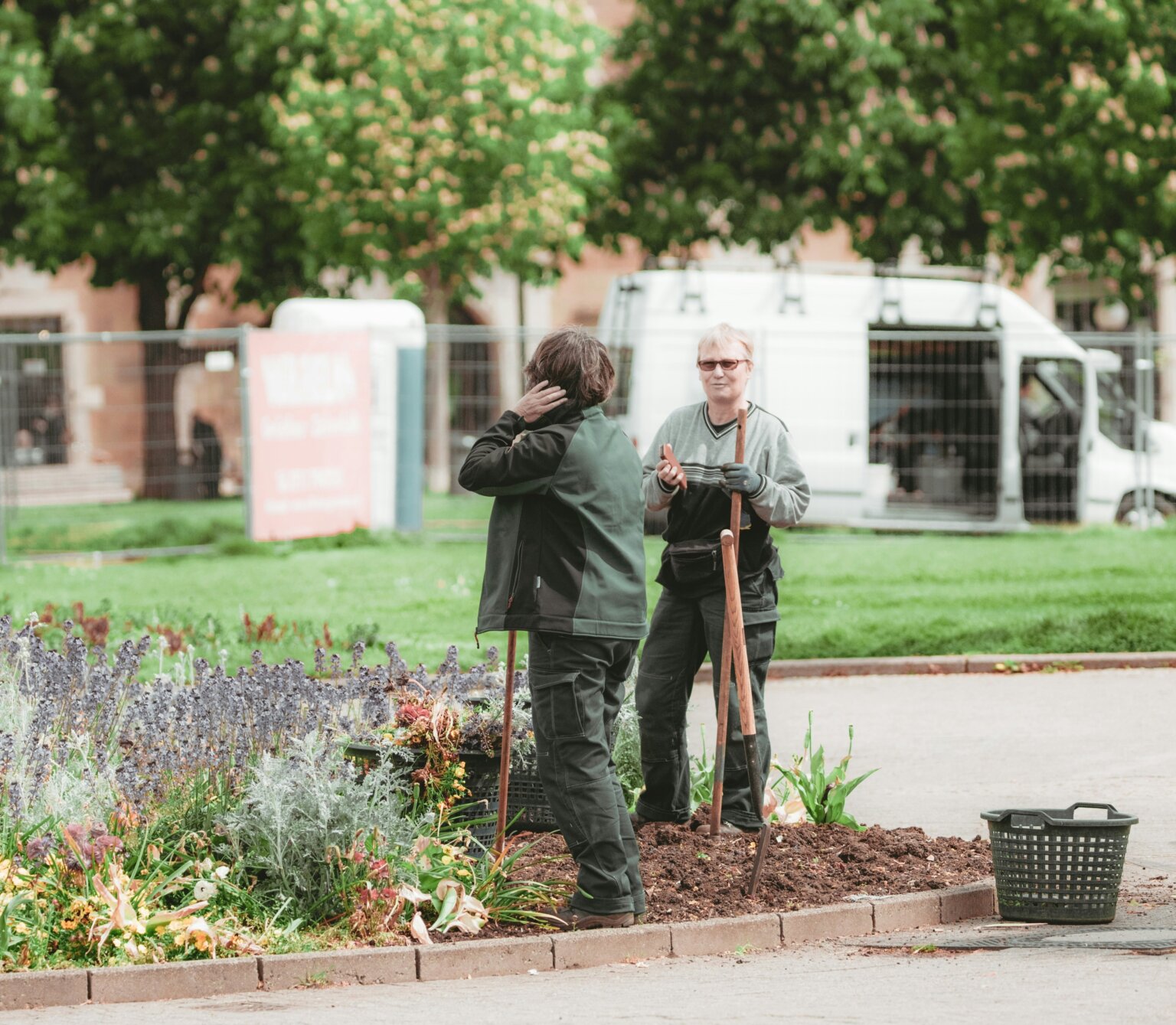 Urban Pollinator Garden: Creating a Buzz in Small Spaces - Forests For ...
